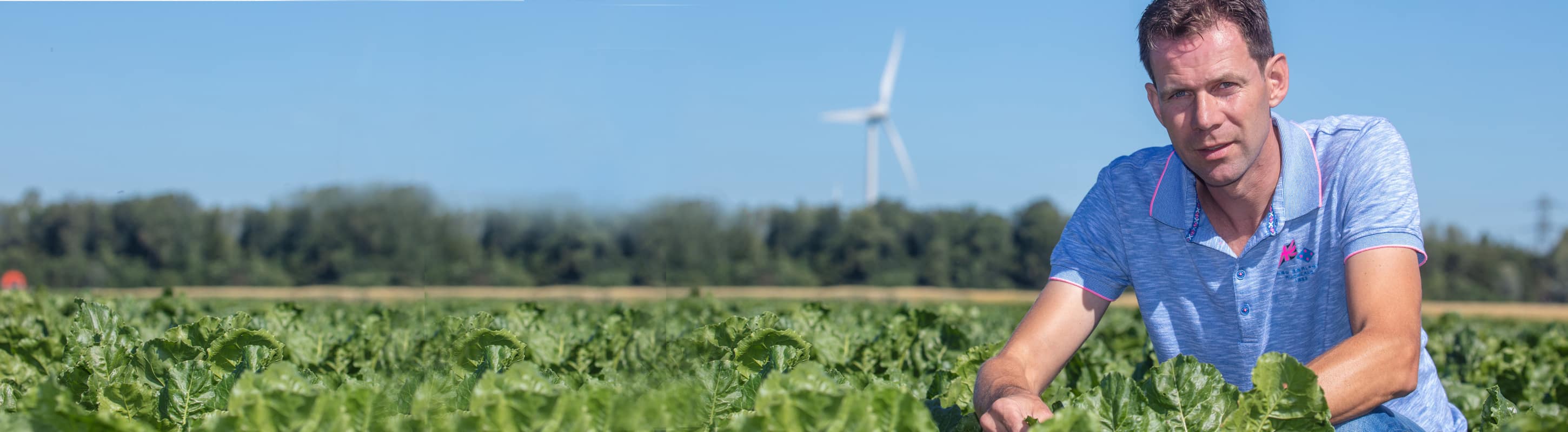 Agrarische bedrijven akkerbouw | Interpolis Verzekeringen