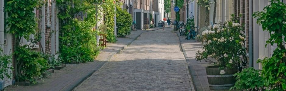 Het hoe en wat van een geveltuin